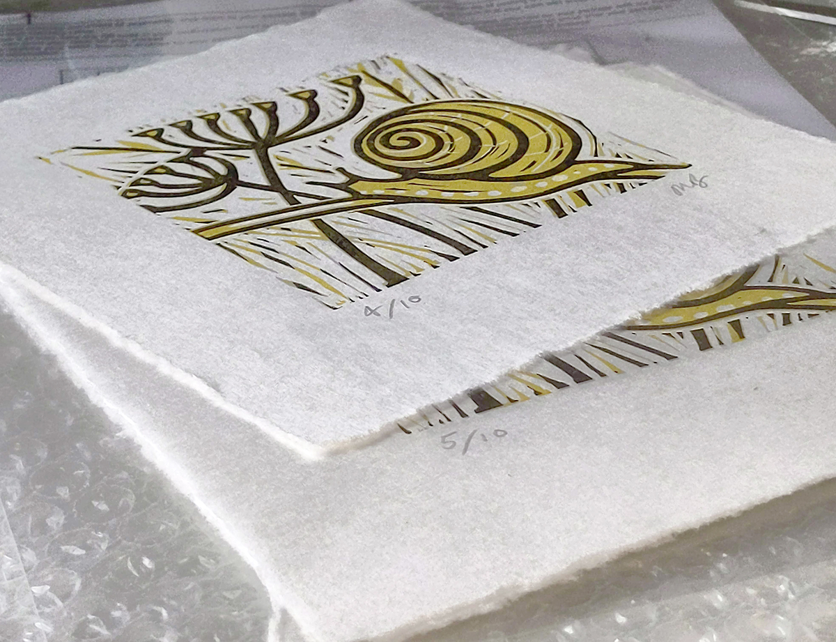 What is a limited edition print?